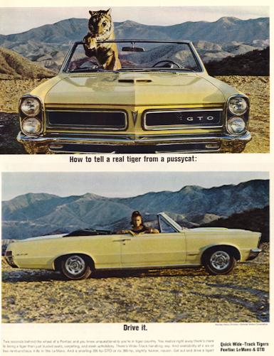 GTO Ads